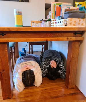 ShakeOut stories | Get Ready — Emergency preparedness in New Zealand